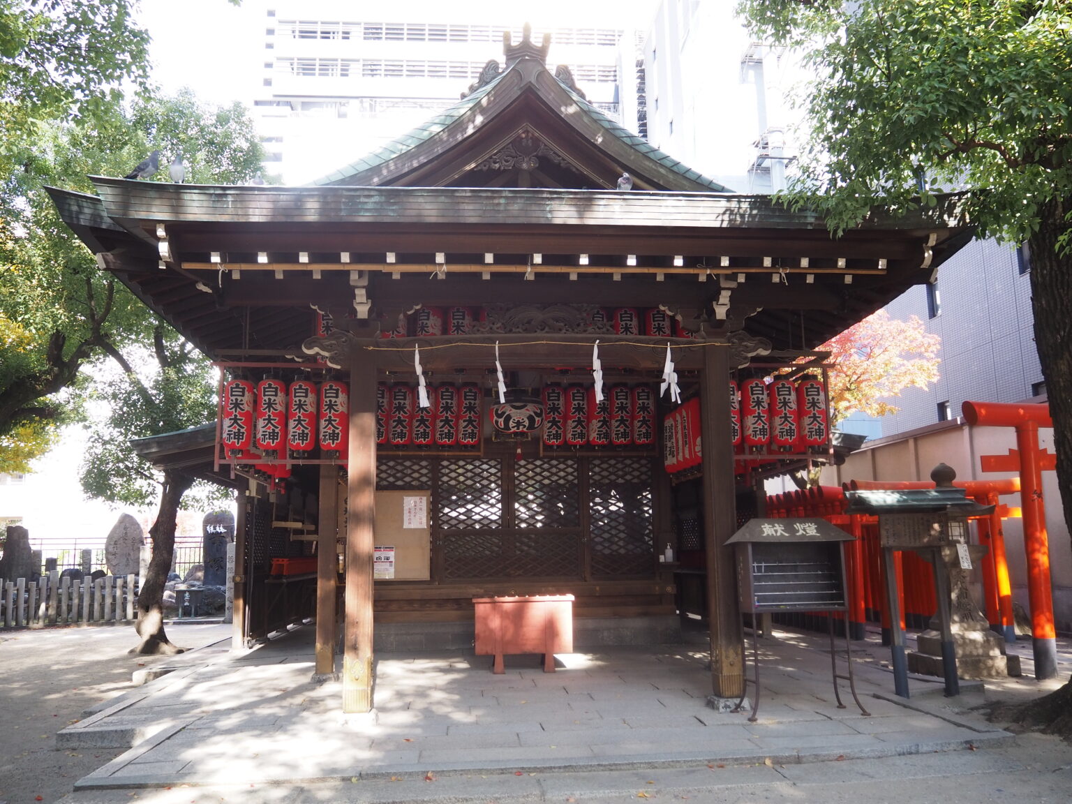 Enjoy Osaka! Exploring Tenmangu Shrine and Tenjinbashi-suji Shopping Street