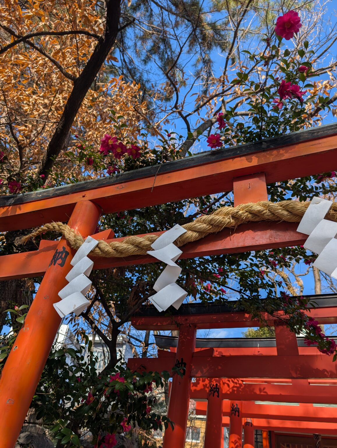 Wandering Through Nakatsu: A Journey in Osaka